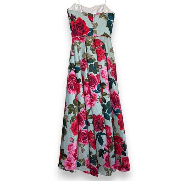 BHLDN | Dresses | Bhldn Dress Luciana Rose Print Ball Gown Maxi Floral ...